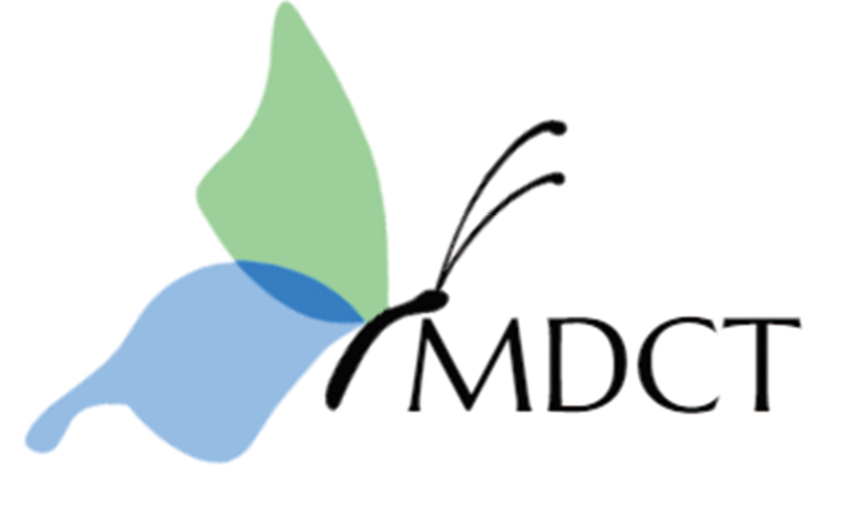 Product Introduction :: MDCT